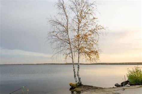 Premium Photo A Lake With A Tree And A Lake In The Background