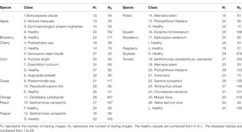 Table 1 From Improving Image Based Plant Disease Classification With Generative Adversarial
