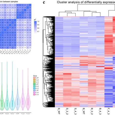 Primary Analysis Of Transcriptome Datas A Heat Map Of Pearson