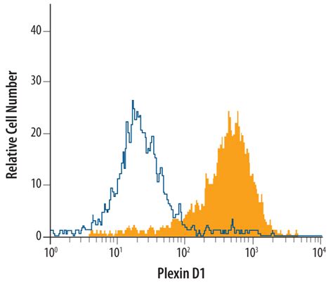 Human Plexin D1 Biotinylated Antibody Baf4160 Randd Systems