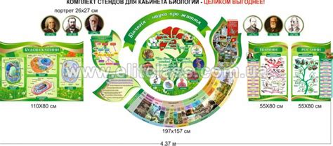 стенд Біологі кабінет Стенды для кабинета биологии стенди до кабінету біології Биология