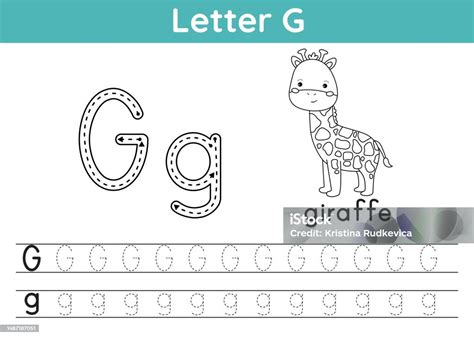 알파벳 Abc Az 운동 색칠하기 페이지 추적 문자 G 영어 어휘 아이들을 위한 색칠하기 책 귀여운 카와이 기린 인쇄 가능한 활동 워크시트 교육용 게임 벡터 그림 0명에