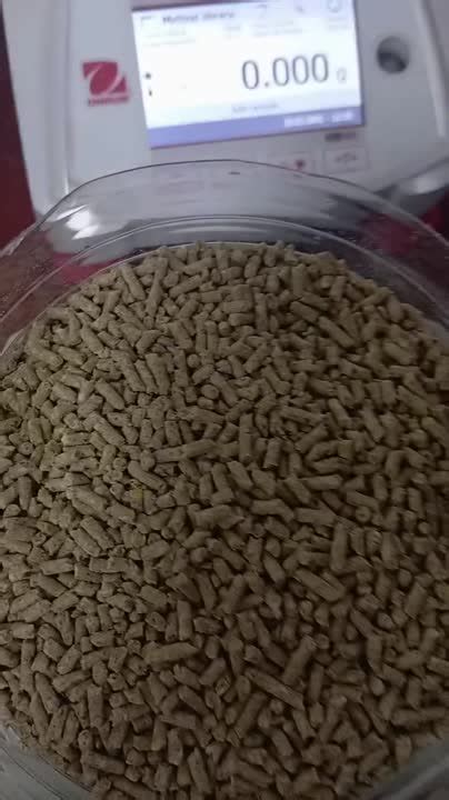 Badejo Eniola On Linkedin Qualityassurance Feedproduction