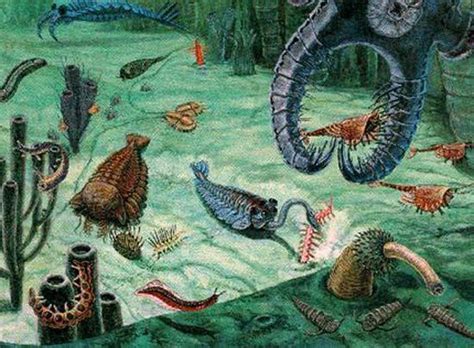 古生物化学图册 360百科