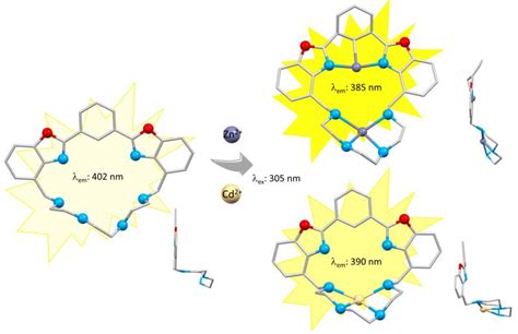 Chemosensors Mdpi On Linkedin Article Recommendation Fluorescent Macrocyclic Chemosensor