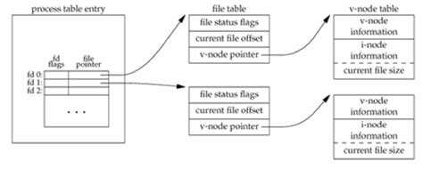 Test 1 Flashcards Quizlet Test 1 Flashcards Quizlet