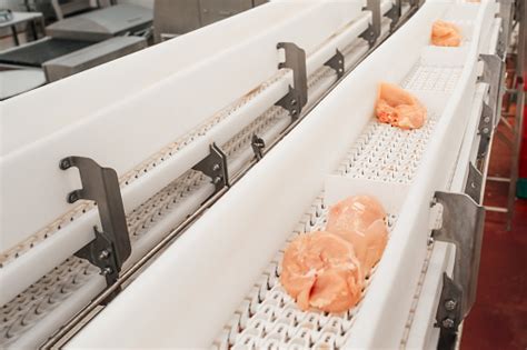 치킨 필렛 생산 라인 육류에서 식품 생산을위한 공장 현대 가금류 가공 공장 컨베이어 벨트 식품고기 공장 0명에 대한 스톡 사진 및 기타 이미지 Istock