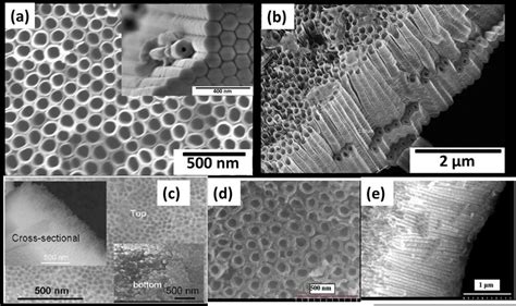 A Top View Sem Micrograph Of Titania Nanotube Arrays Fromed By Download Scientific Diagram