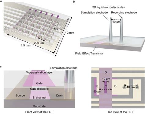 Liquid Metal Based Three Dimensional Microelectrode Arrays Integrated