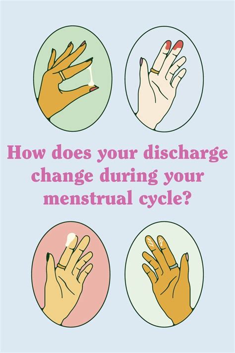 Different Types Of Discharge In Your Cycle At Francis Needham Blog