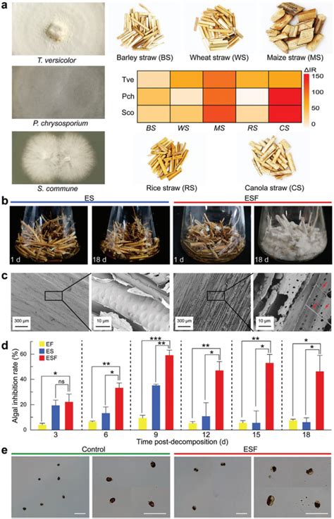 【派森诺多组学项目文章】if 15 1 ！转录组联合代谢组，鉴定出新型天然除藻剂 鞘氨醇类天然分子 知乎