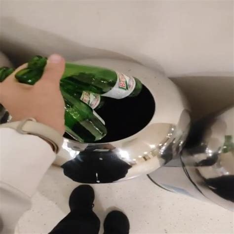 Détection Et Classification Classification Dataset And Pre Trained