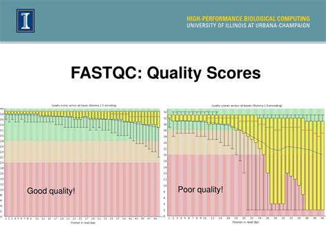 Ppt Rna Seq And Transcriptome Analysis Essentials For Biotechnologists Powerpoint Presentation