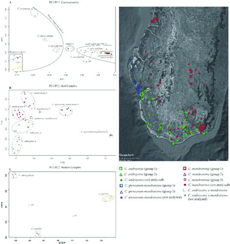 Principal Components Analysis Pca Of 227 Microsatellite Flanking Download Scientific Diagram