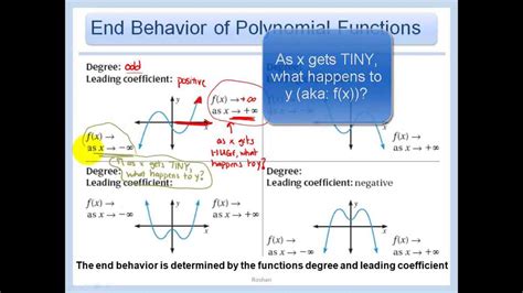 solution key for unit 5 polynomial functions homework 5