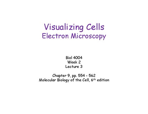 Biol4004 02 Slides 3 2016 Visualizing Cells Electron Microscopy Biol 4004 Week 2 Lecture 3
