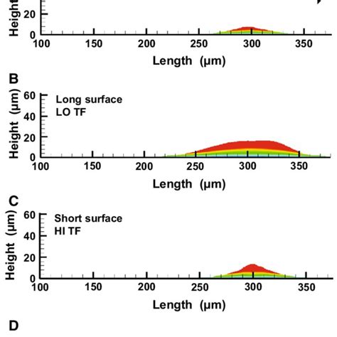 Computationally Simulated Spatial Distribution Of Axial Flow Velocity