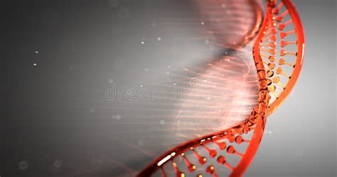Dna Strand Structure Seamless Loopable Animation 4k UHD Stock Video Video Of Genetic Atom