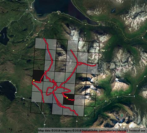 spatial capture recapture the pros and cons of aggregating detections