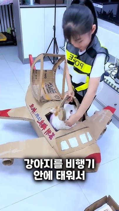그녀는 자신의 개를 위해 비행기를 만들었습니다😍 Youtube