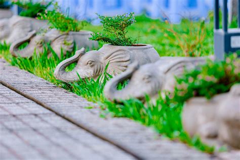 4kbigassanimegirlwallpaper Photos Download The Best Free 4kbig