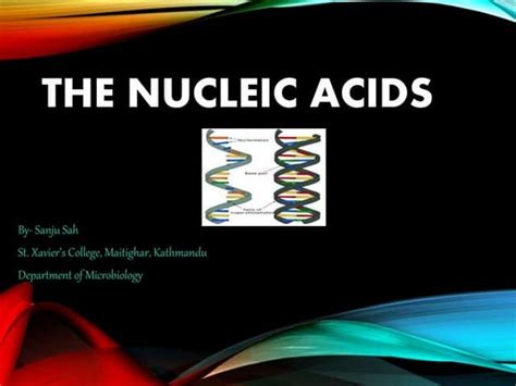 Nucleic Acids Structure And Function Pptx Chemistry Science