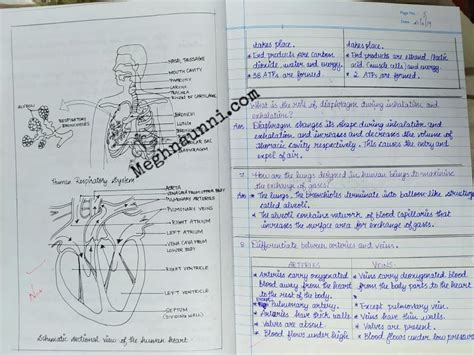 How To Keep Your Classworks Neat