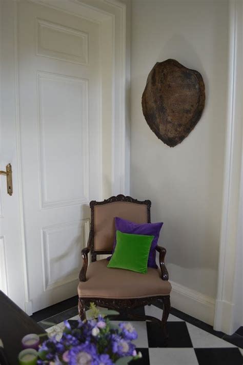 Giant Turtle Shell Decor Small Wall Decor Home Decor