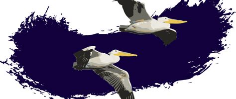 File Uploads For The Web 3 File Uploads In Node And Nuxt Dev Community