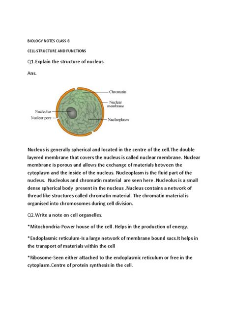 Biology Notes Class 8 Cell Structure And Functions Pdf