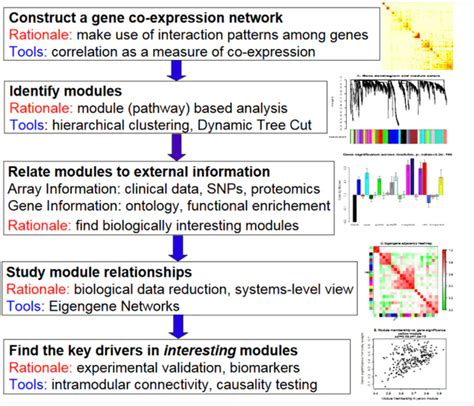 加权基因共表达网络分析 Wgcna） 共表达网络模块构建 生物信息学数据分析必备技能 知乎