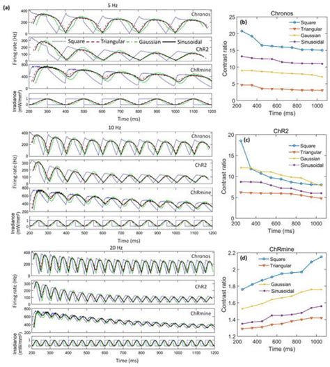Photonics Free Full Text Optogenetic Generation Of Neural Firing Patterns With Temporal