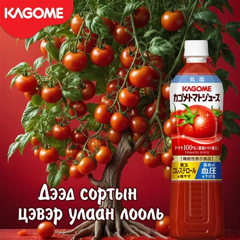 Kagome Mongolia 🍅🍅🍅🍅🍅🍅🍅🍅🍅🍅🍅🍅🍅🍅🍅🍅🍅🍅🍅🍅 Улаан лоолийн шүүс