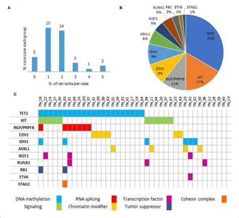 Variants Distribution A Relative Frequencies Of Pathogenic Download Scientific Diagram