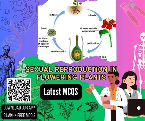 Sexual Reproduction In Flowering Plants Biology Gk Mcq Mcqs Multiple Choice Questions