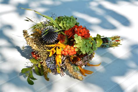 무료 이미지 잎 꽃다발 목초 플로라 허브 플로리스트 리 꽃 피는 식물 데이지 가족 현장 식물 꽃 야생화 플로랄 디자인 육상 식물 꽃꽂이 할로