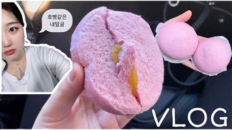 Vlog 투잡 직장인 하루 빙글빙글😵‍💫 Youtube