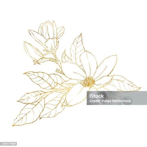 라인 아트 목련 수채화 황금 카드입니다 흰색 배경에 고립 된 꽃 가지 잎과 싹손으로 꽃 그림을 그린 스프링 디자인 프린트 패브릭 또는 배경 0명에 대한 스톡 벡터 아트 및