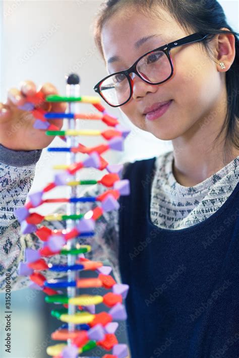Girl Babe Examining DNA Model In Classroom Stock Photo Adobe Stock
