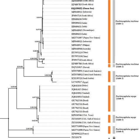 Mohammad Sadegh Alavi Yeganeh Professor Assistant Phd Tarbiat Modares University Tehran