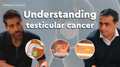Testicular Cancer Explained Symptoms Stages And Treatment Youtube