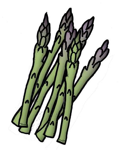 Asparagus Clipart Black And White 10 Free Cliparts Download Images On