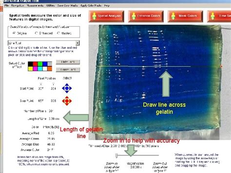 Co 2 Diffusion Through Gelatin Experiment Presented By