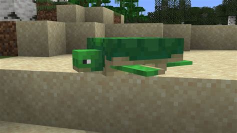 Minecraft Turtle Guide Spawning Breeding Uses And More