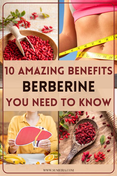 Top 10 Health Benefits Of Berberine