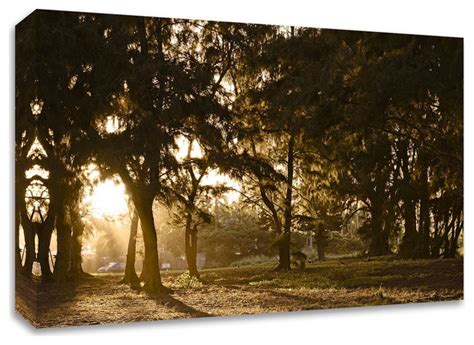 Daybreak By Chuck Burdick Print On Canvas 36x24 Contemporary