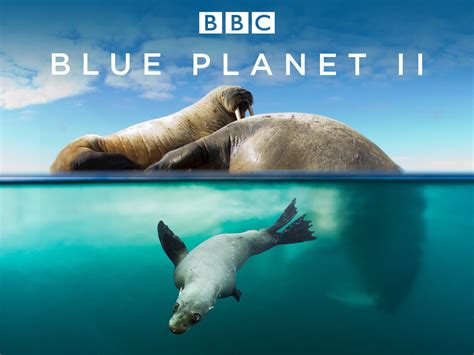Blue Planet Earth
