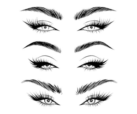 Vector Set Beautiful Female Eyes With Long Black Eyelashes And Brows