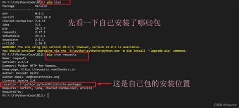 python使用pip成功导入库后还是报错的解决方法 针对vscode python 脚本之家