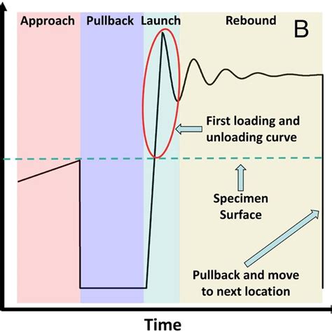 A Schematic Of The High Strain Rate Nanoindentation Actuator B Download Scientific Diagram
